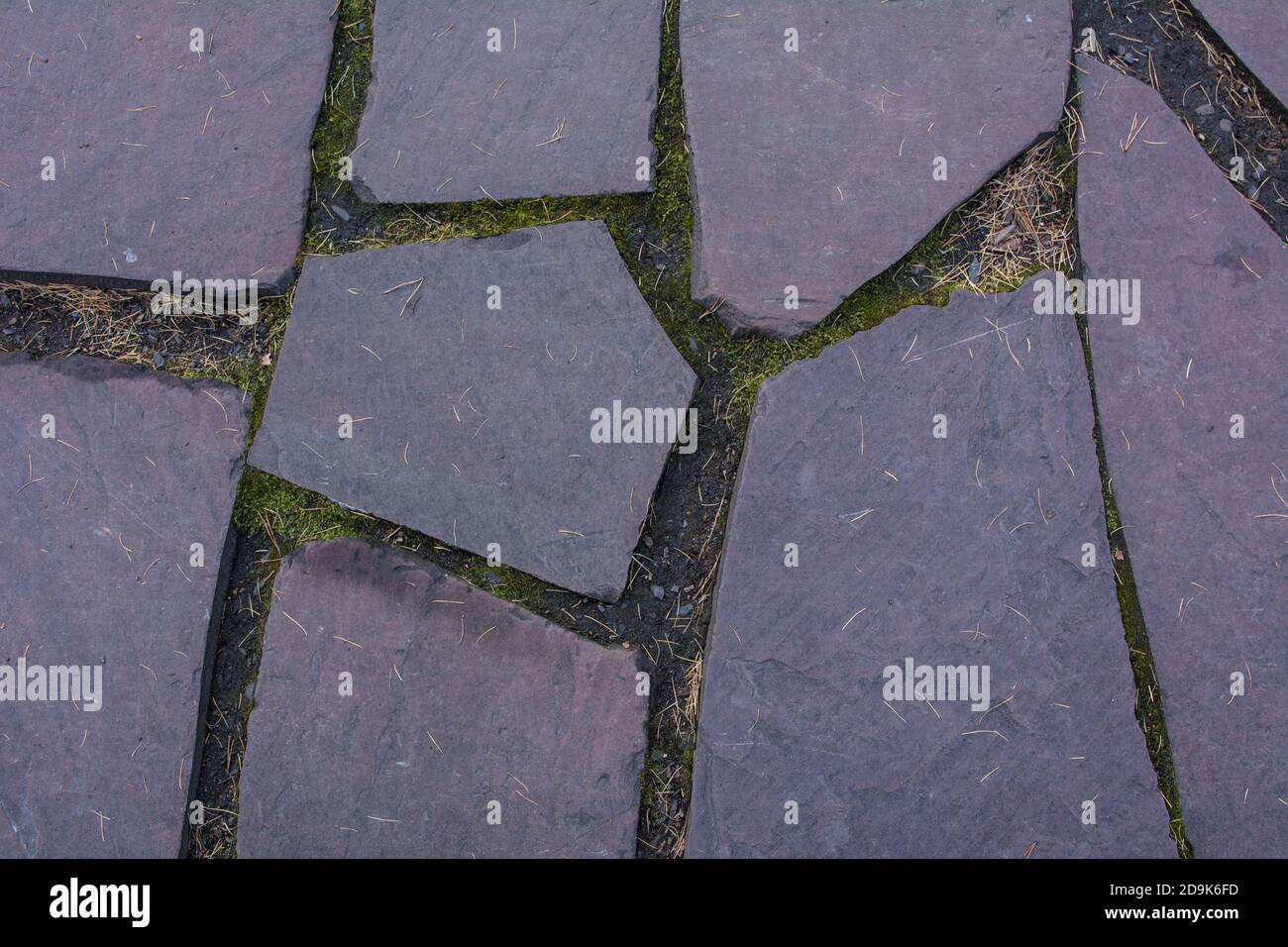 Garden path made of large stones. Natural stone path in the forest park ...