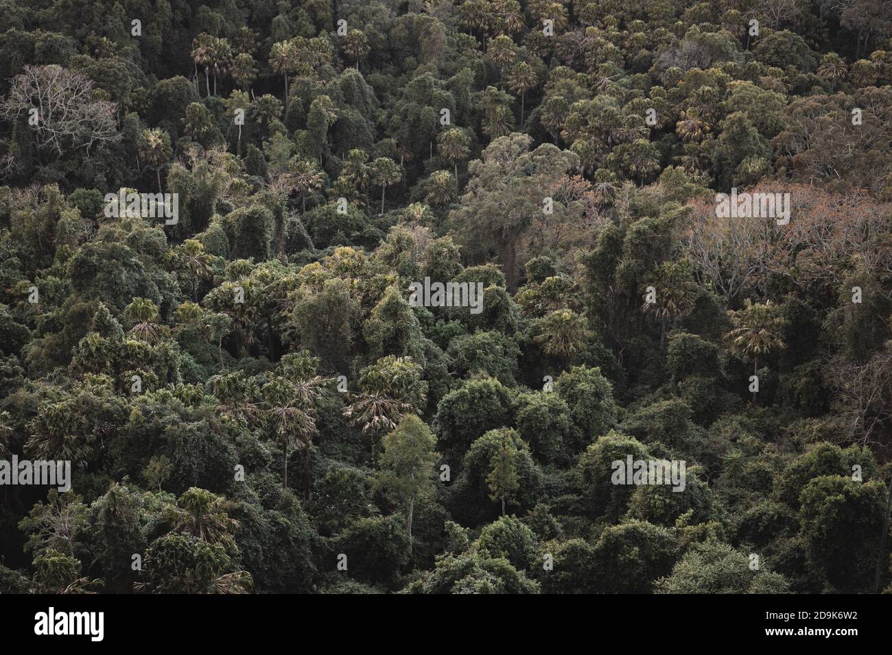 Land covering hi-res stock photography and images - Alamy
