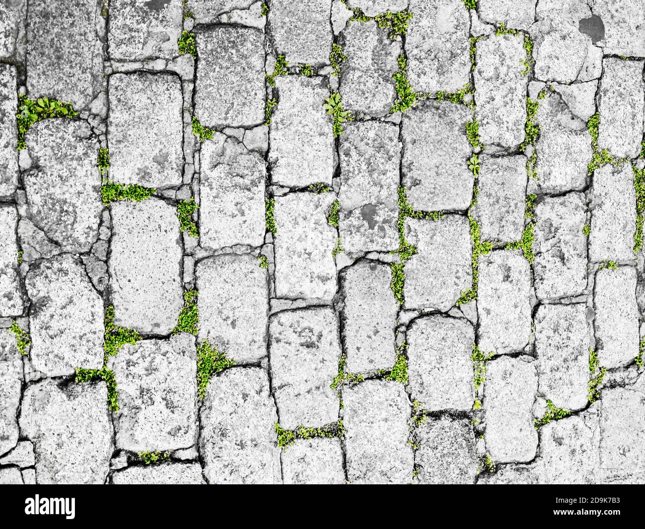 Top view shot of a cobblestone pavement Stock Photo - Alamy