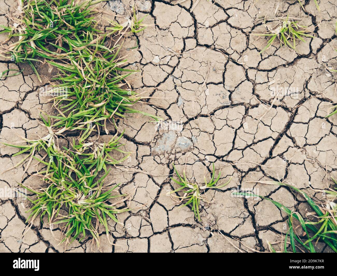 Top view shot of a dry swamp ground Stock Photo - Alamy