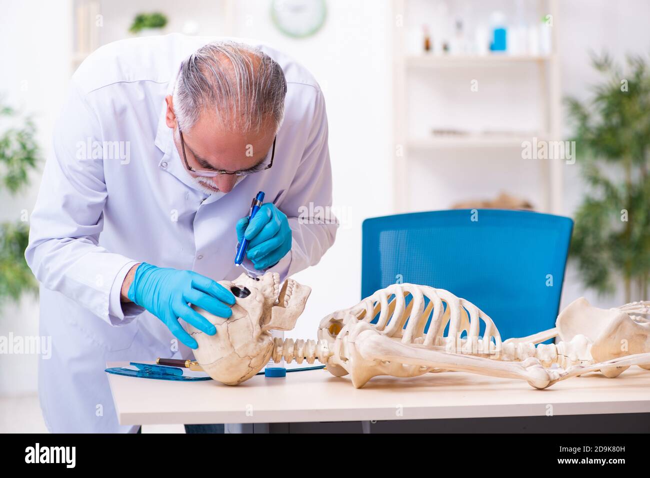 Male archaeologist bone hi-res stock photography and images - Alamy