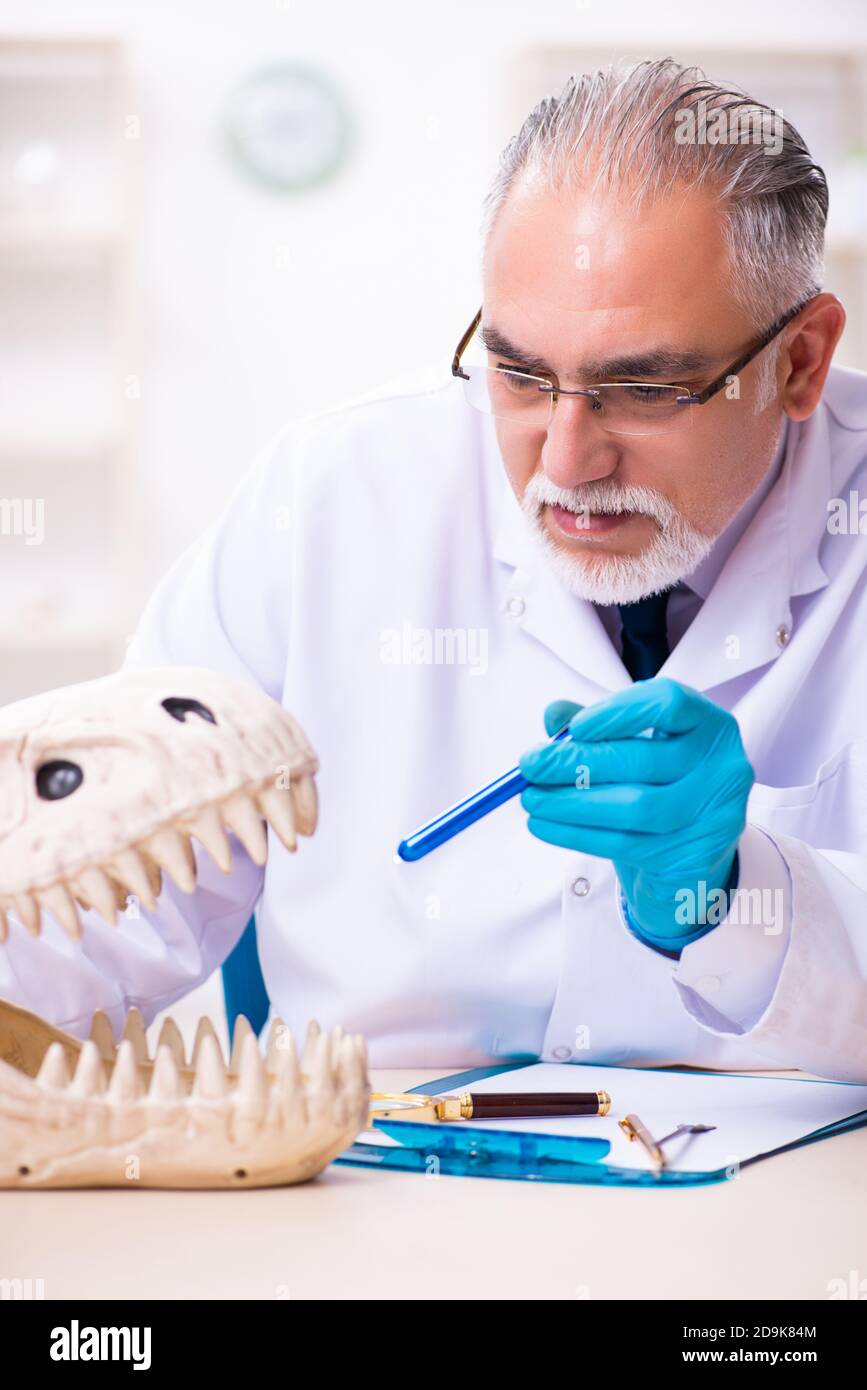 Male archaeologist bone hi-res stock photography and images - Alamy