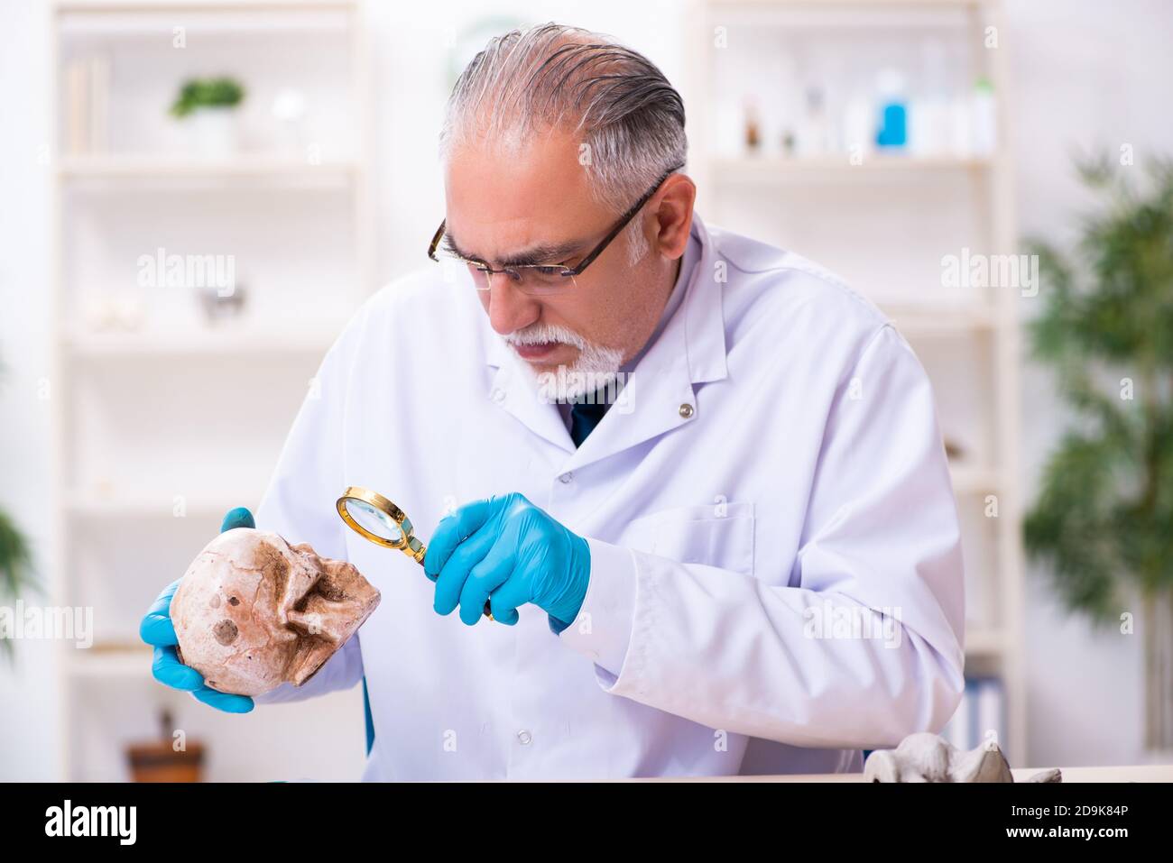 Old male anthropologist working in the lab Stock Photo - Alamy