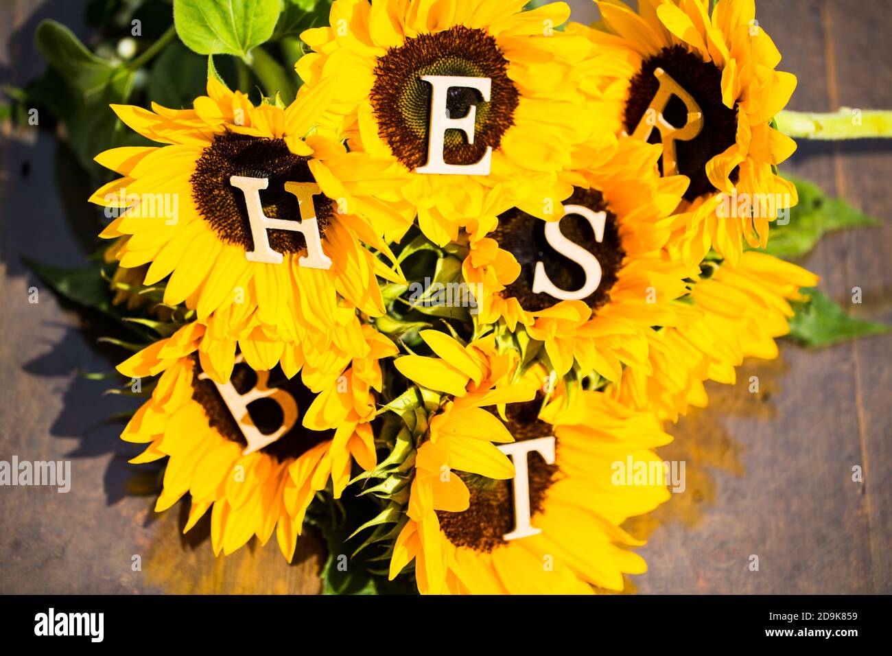 Sunflowers with letters in the flower head, autumn, written Stock Photo ...