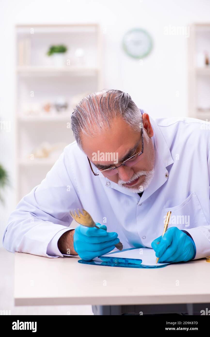 Old male archaeologist working in the lab Stock Photo - Alamy