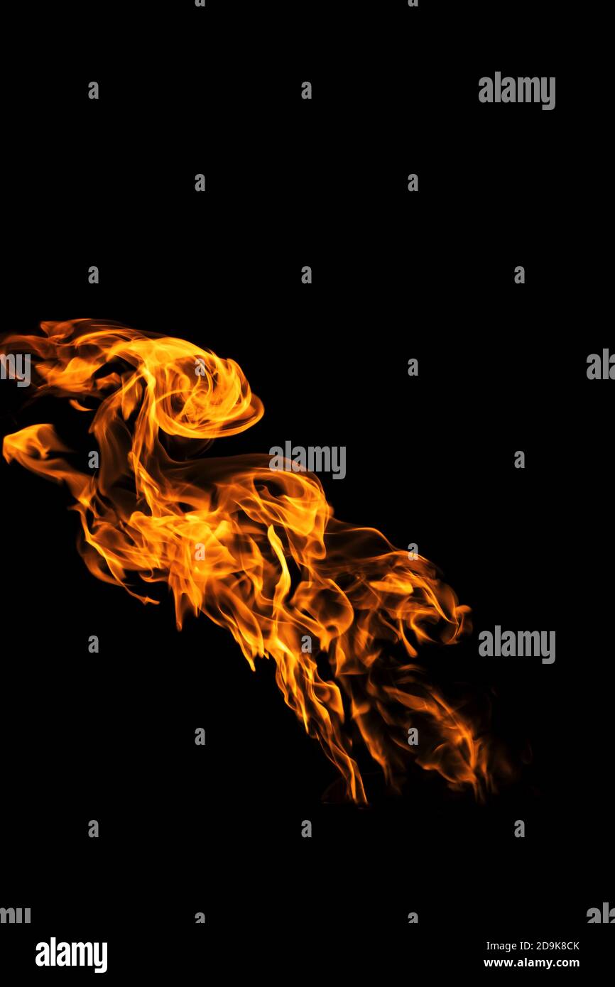 Fire flames on black background isolated. Burning gas or gasoline burns ...