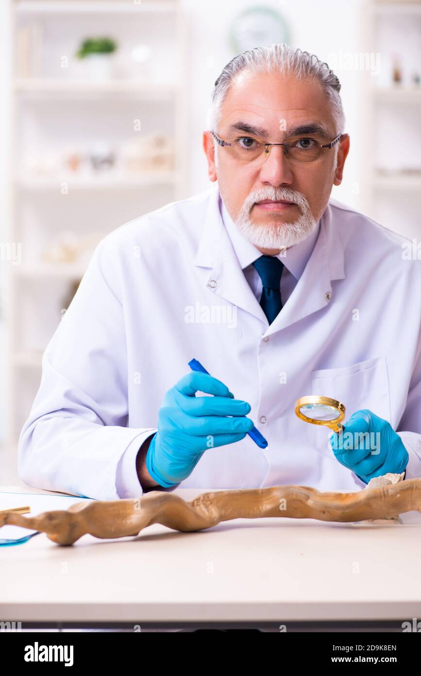 Male archaeologist bone hi-res stock photography and images - Alamy