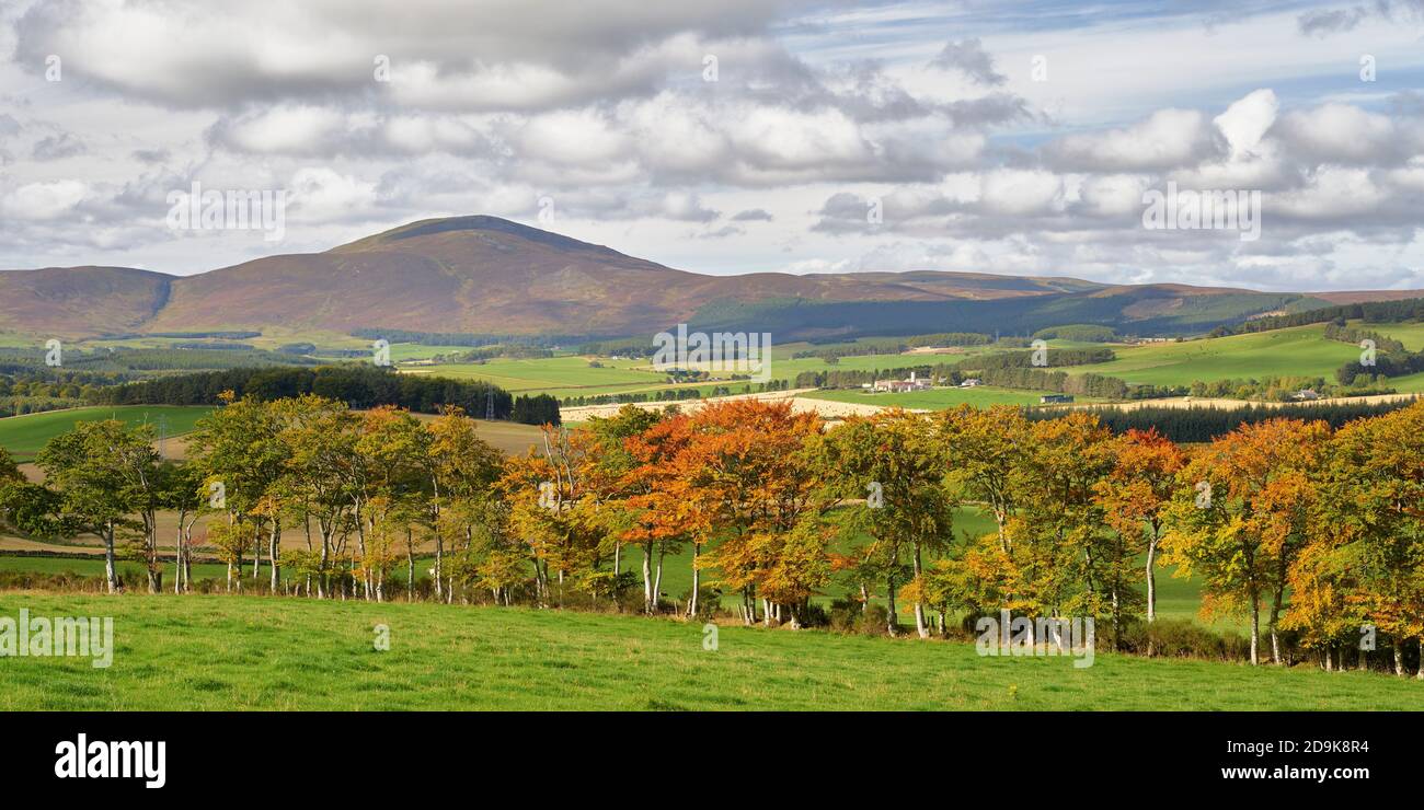 Morven scotland hi-res stock photography and images - Alamy