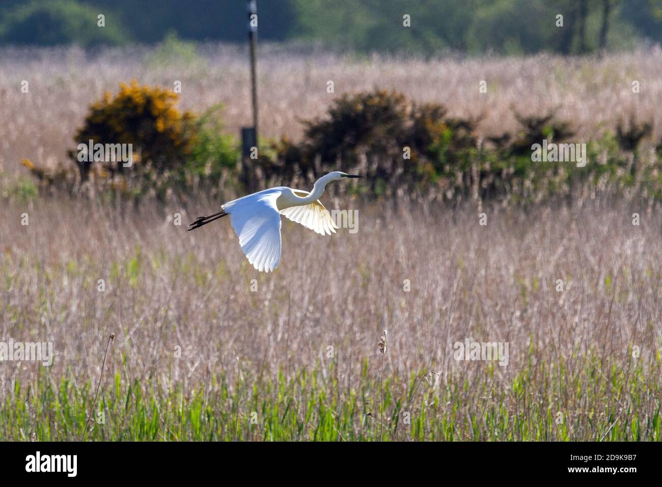 Flying water bed hi-res stock photography and images - Alamy