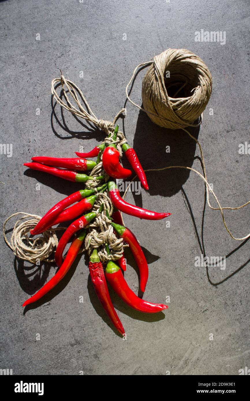 Making red chili peppers garland. Fresh peppers and linen rope on dark ...