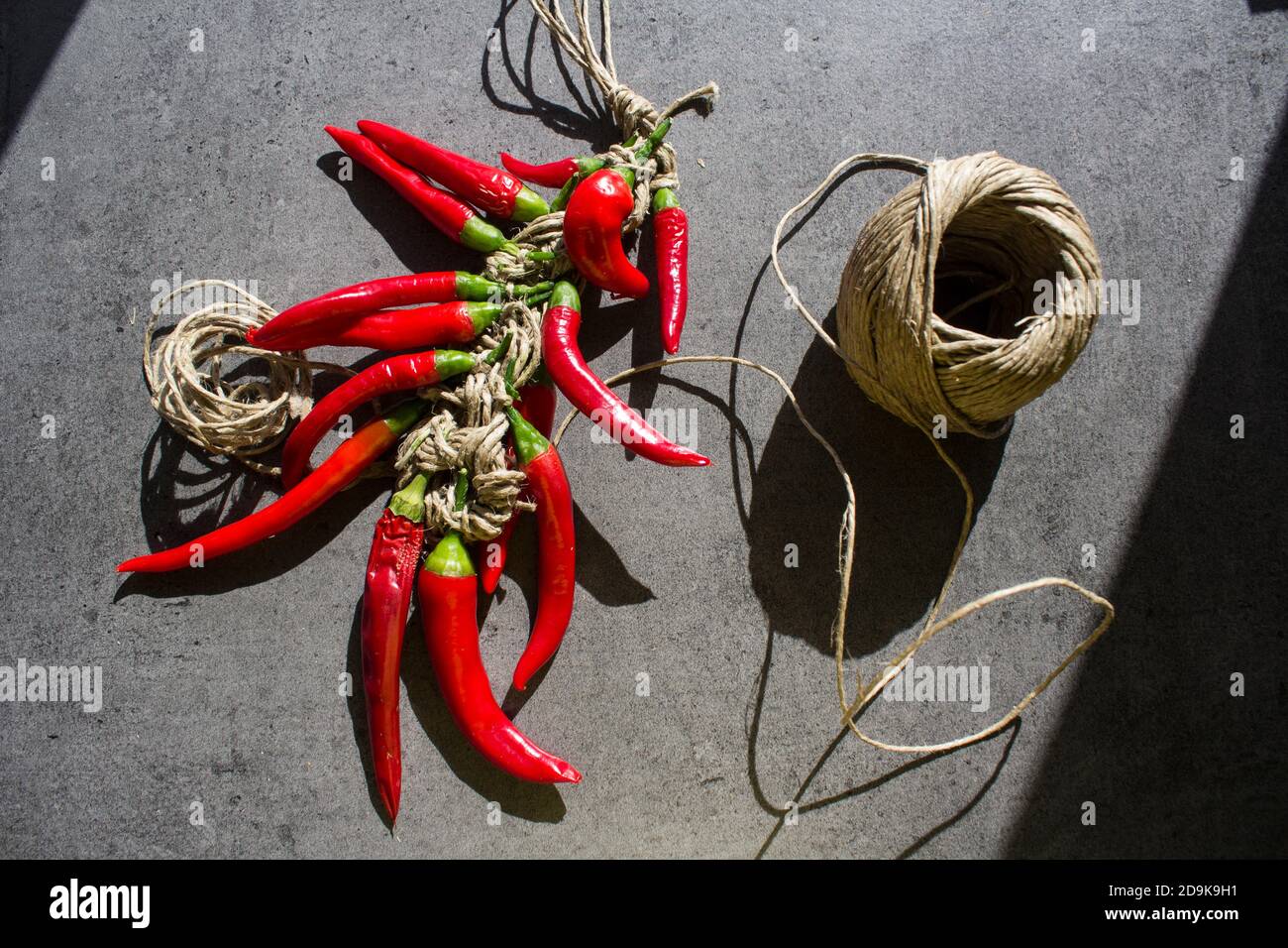 Making red chili peppers garland. Fresh peppers and linen rope on dark ...