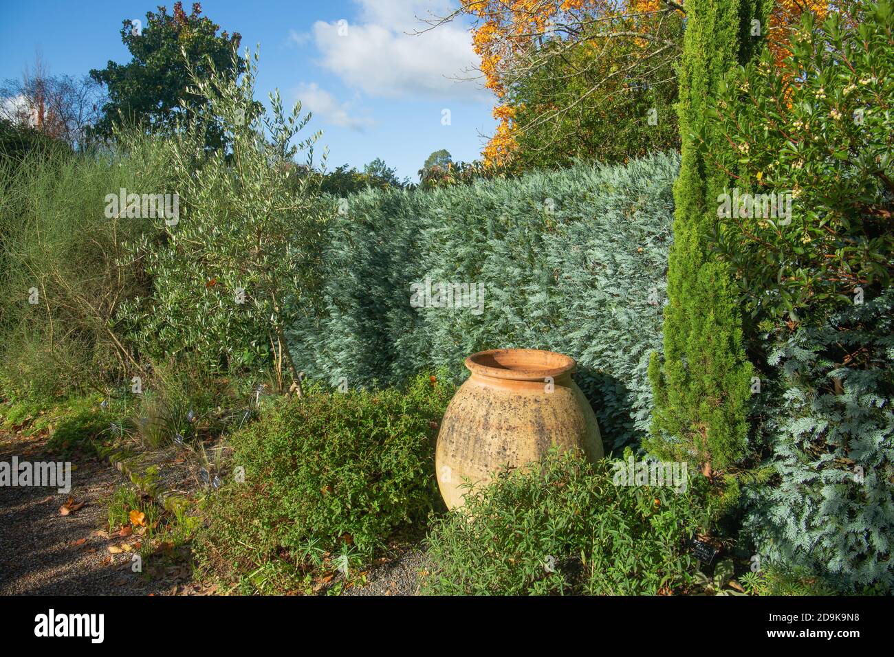 Cottage garden border with terracotta pot feature Stock Photo - Alamy