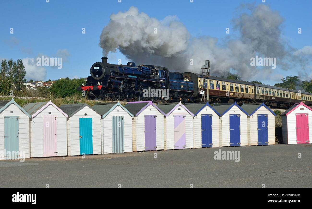 Steam train passing Goodrington on the Dartmouth Steam Railway. The ...