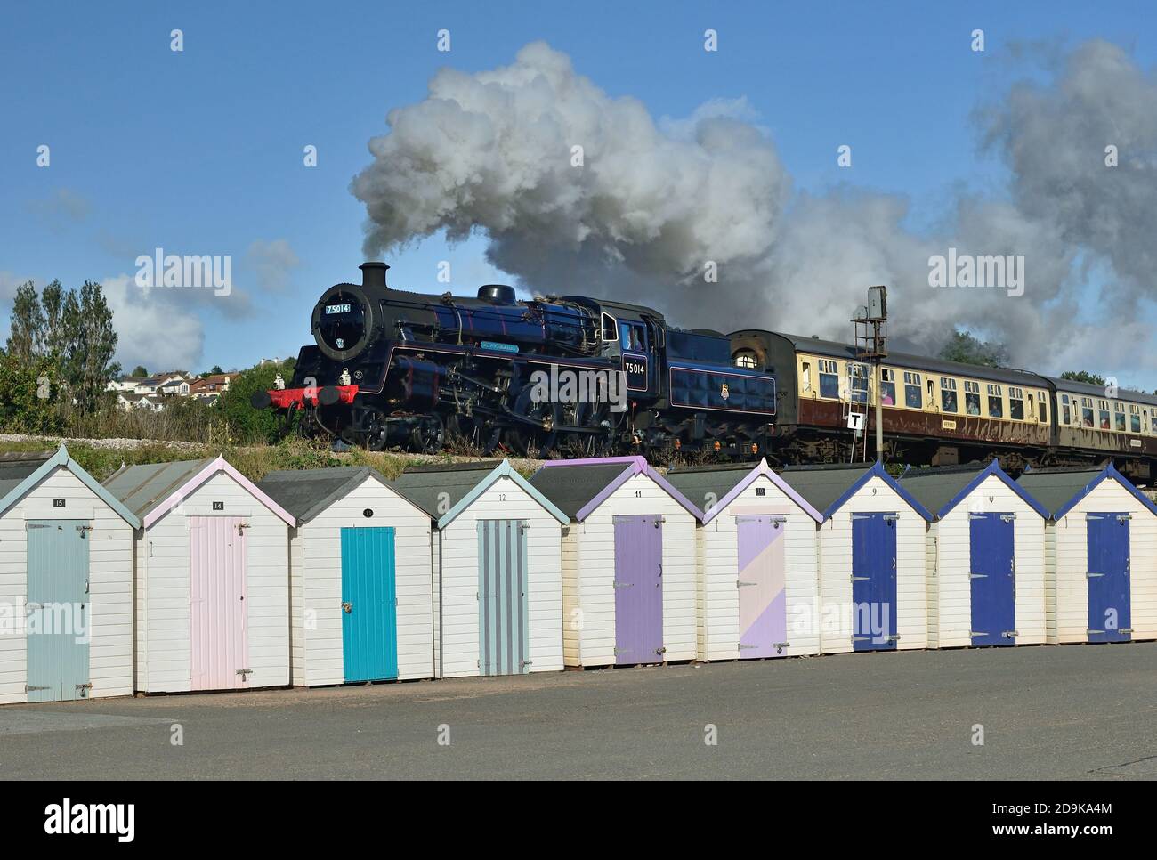 Steam train passing Goodrington on the Dartmouth Steam Railway. The ...