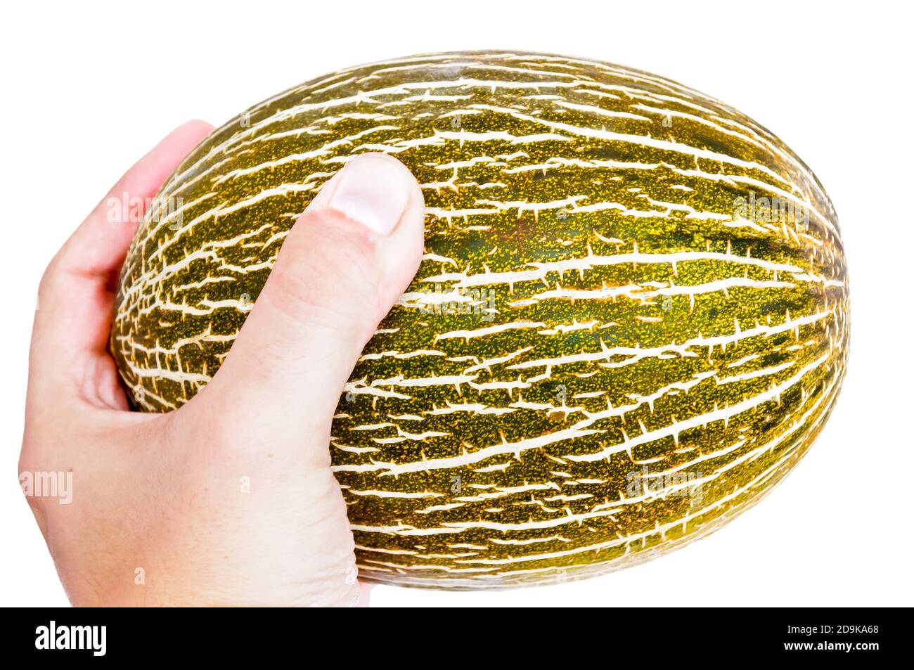 Melon seed hand Cut Out Stock Images & Pictures - Alamy