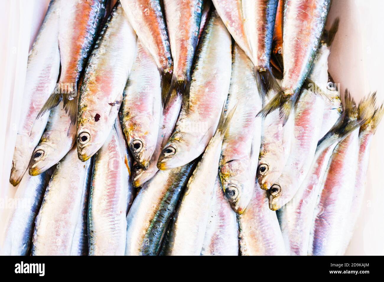 Top view of tiny fishes at market Stock Photo - Alamy