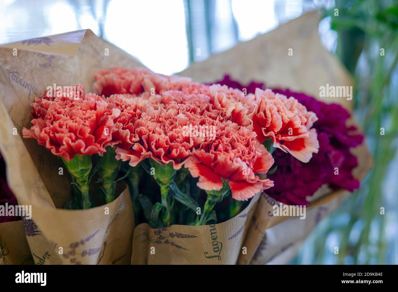 Close up to colorful bunch of carnations inside to a flower shop Stock ...