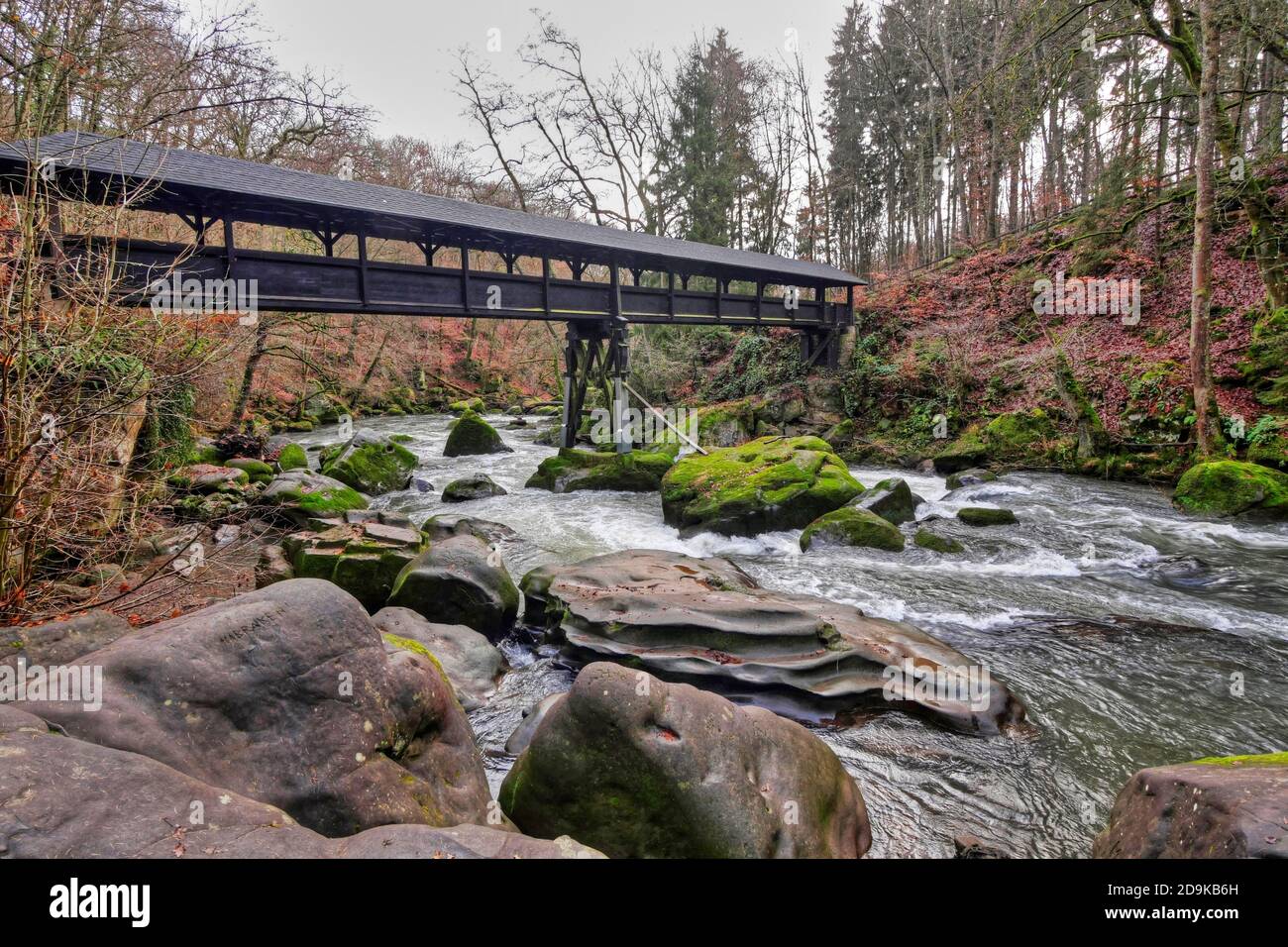 Prum hi-res stock photography and images - Alamy