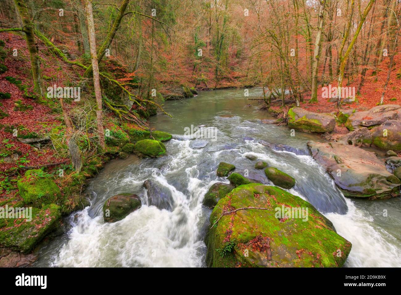 River Prüm at the Irrel waterfalls, Irrel, Südeifel, Rhineland ...
