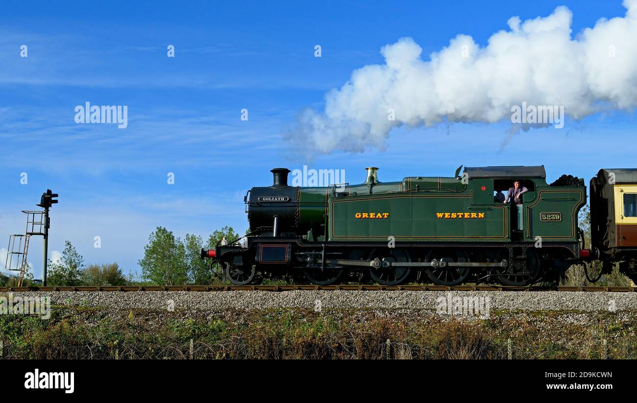 Steam train passing Goodrington on the Dartmouth Steam Railway Stock ...