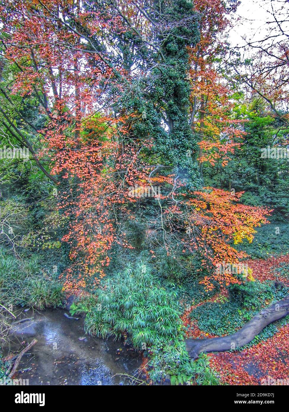 Autumnal photography credit Ian fairbrother/Alamy Stock photos Stock ...