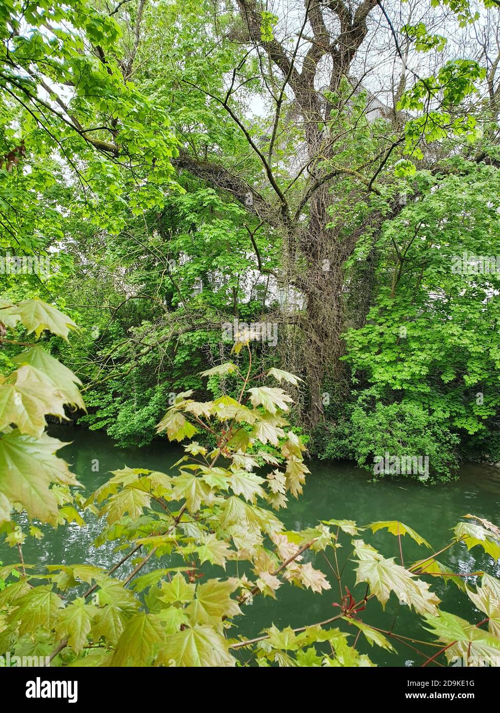 Vertical shot river lake hi-res stock photography and images - Alamy
