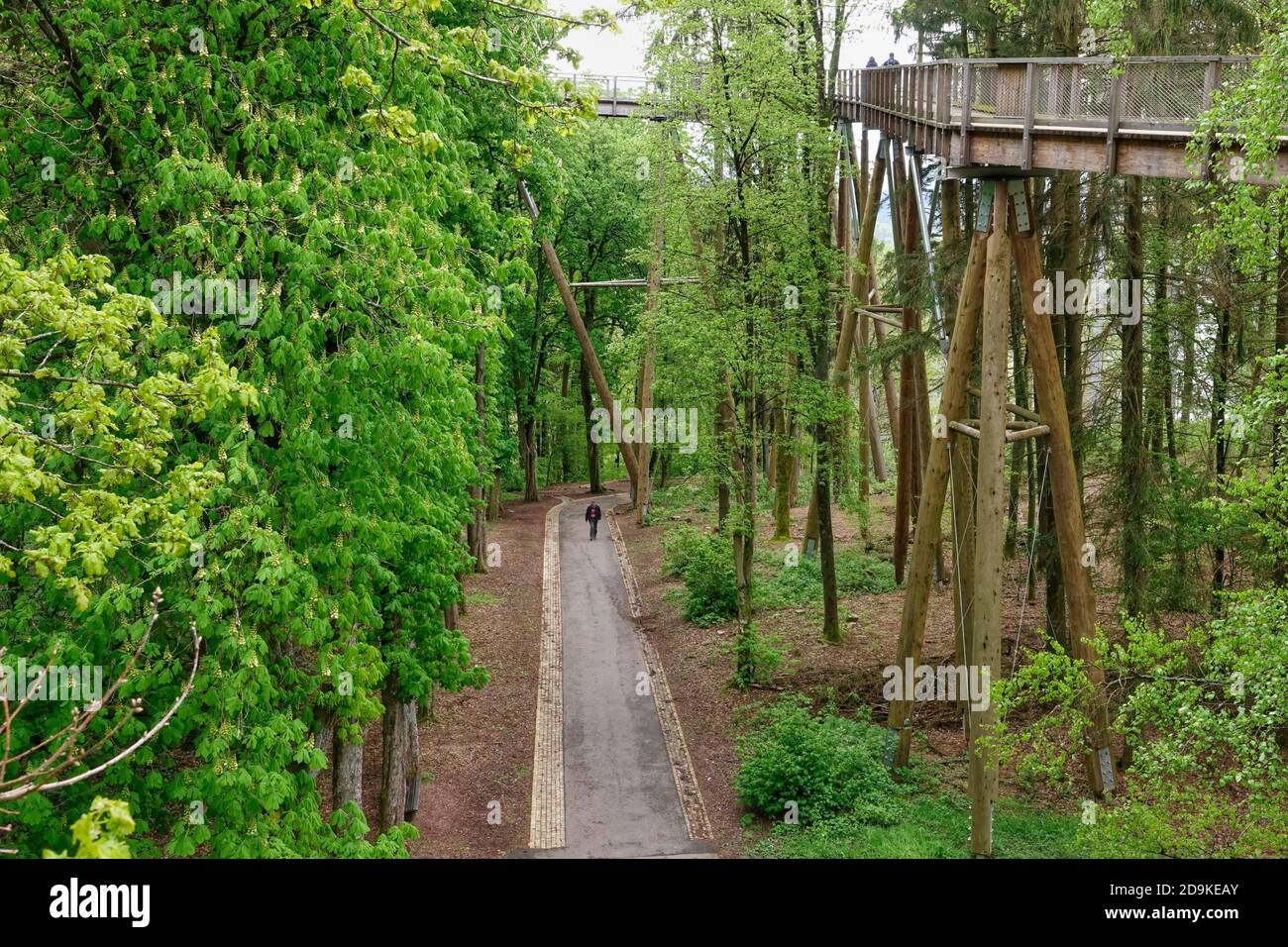 Treetop path Saarschleife at the Cloef viewpoint in Mettlach-Orscholz ...