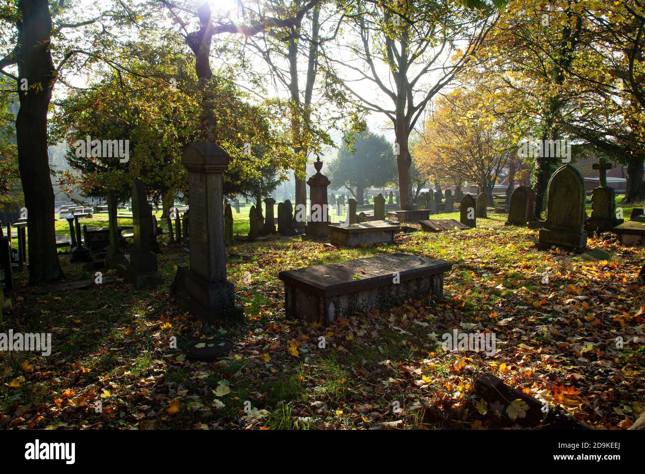 A Yorkshire graveyard with sun breaking through the canopy of trees and ...