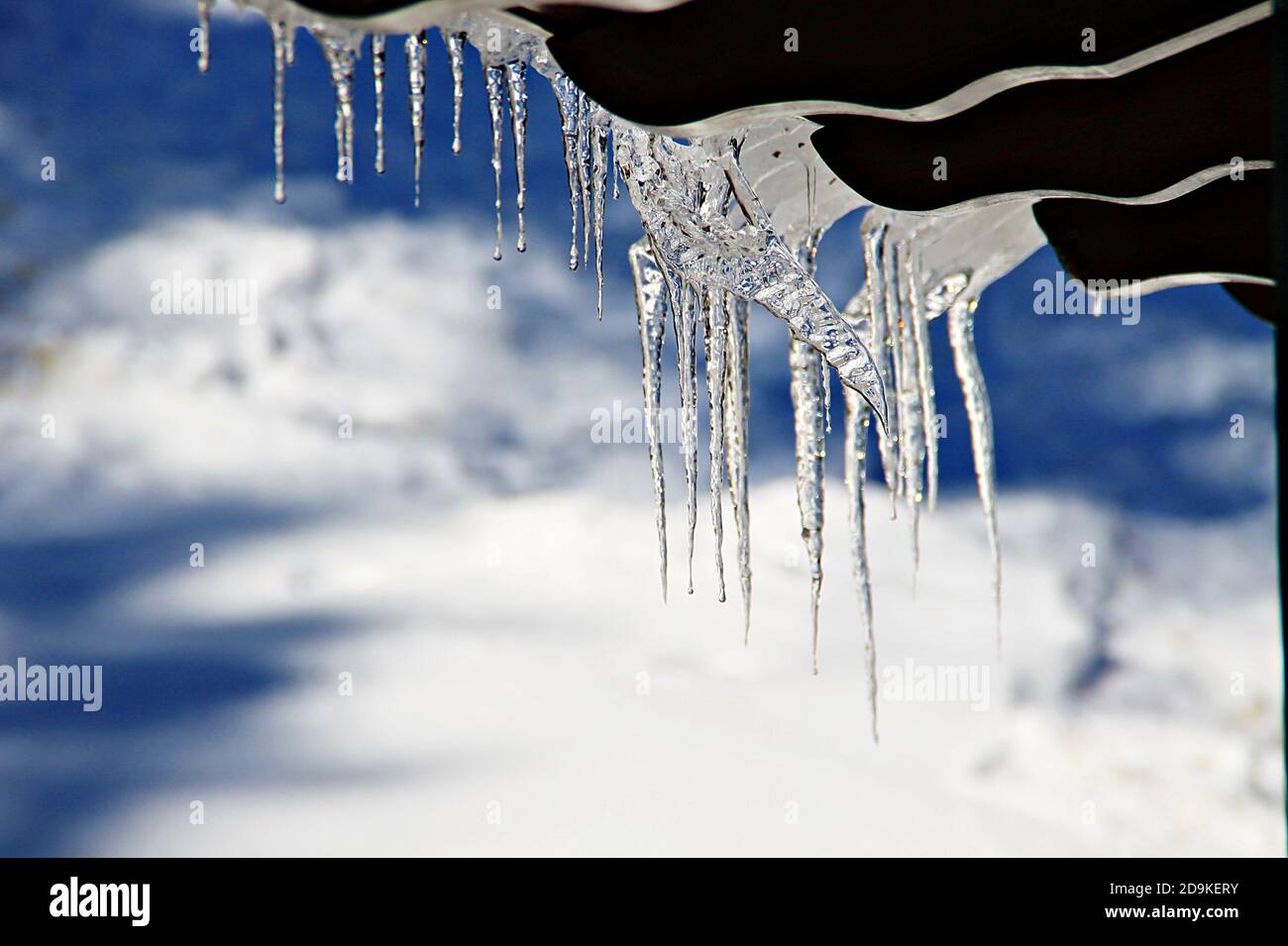 fantastic icy stalactites created by the melting of snow in a snowy ...