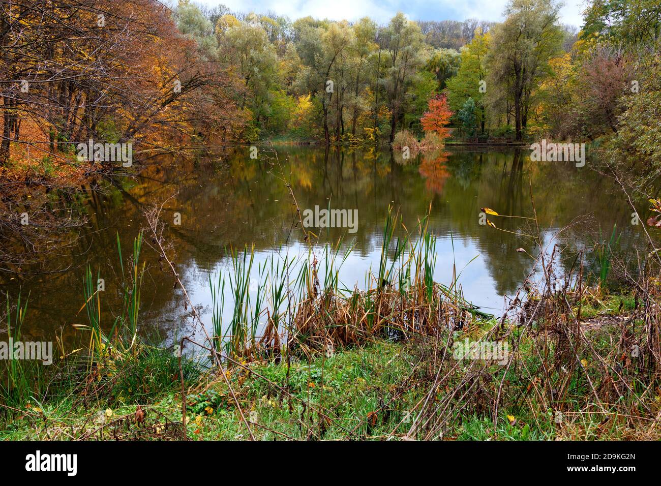 Beautiful autumn landscape of a forest lake with the reflection of ...