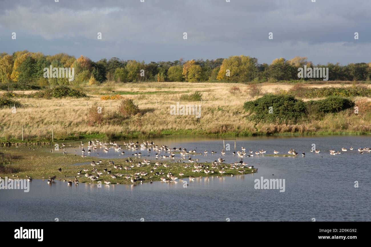 Quarry repurposed hi-res stock photography and images - Alamy