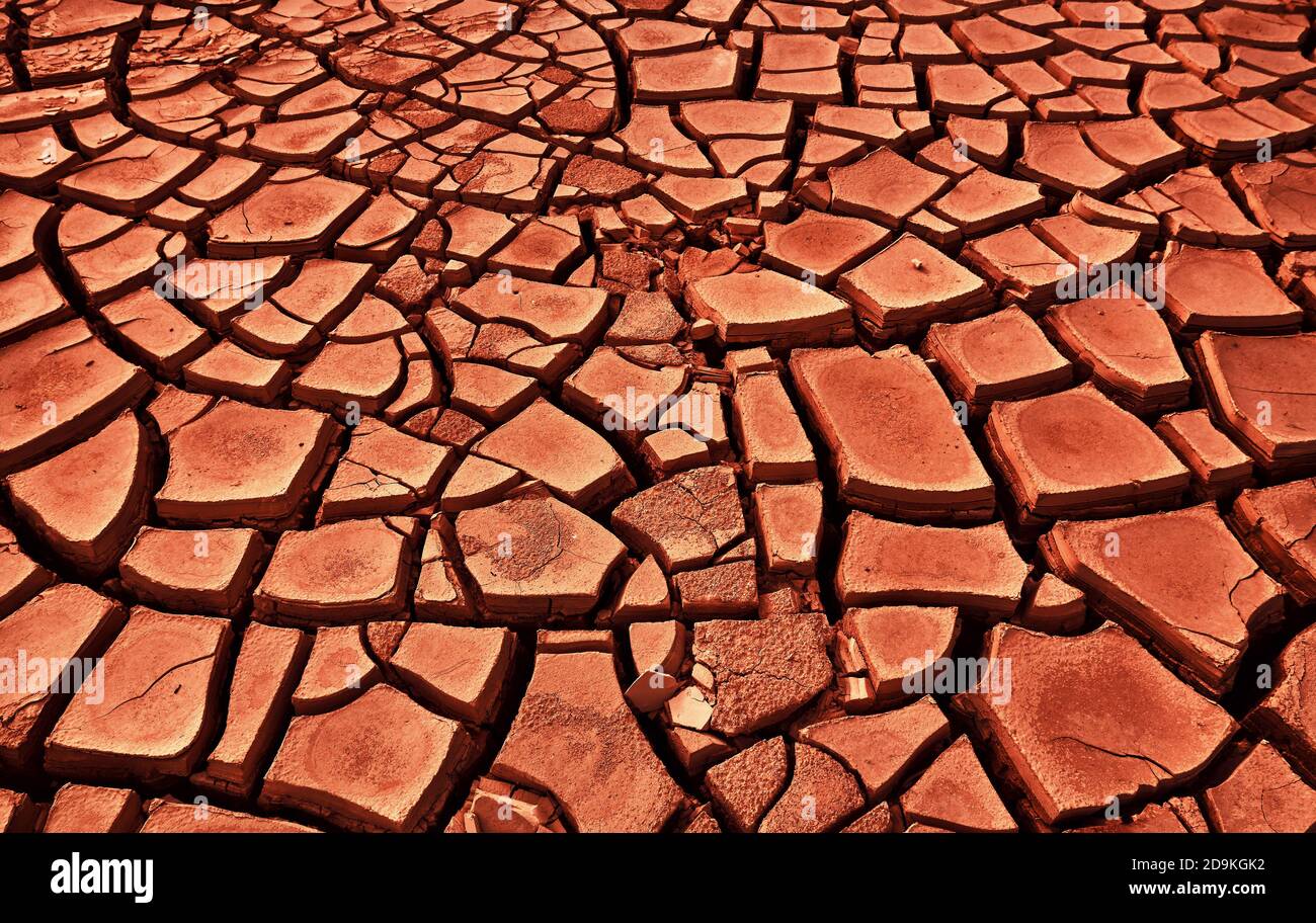 Cracked Ground Desert