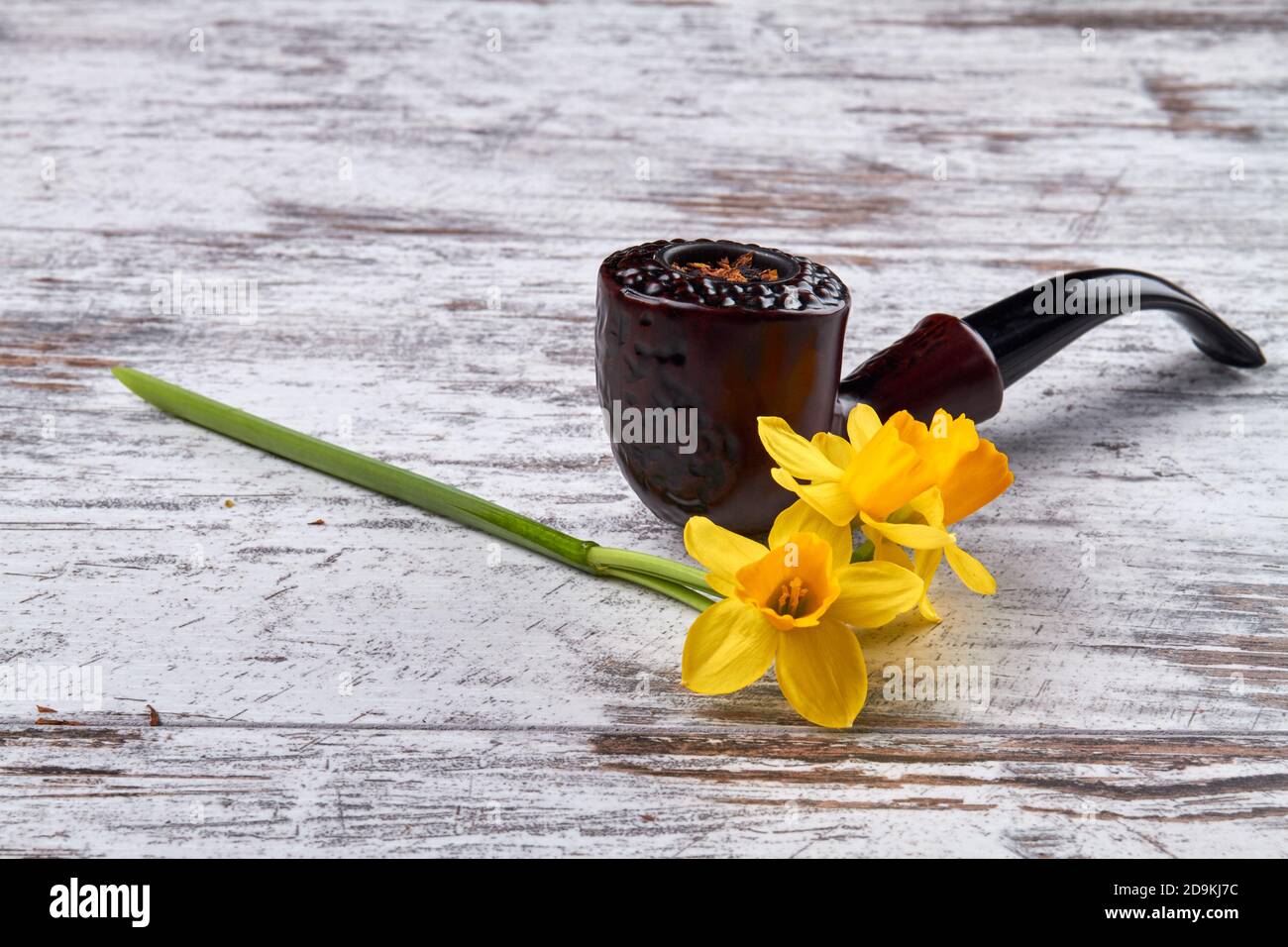 Still life yellow flower and smoking pipe Stock Photo - Alamy
