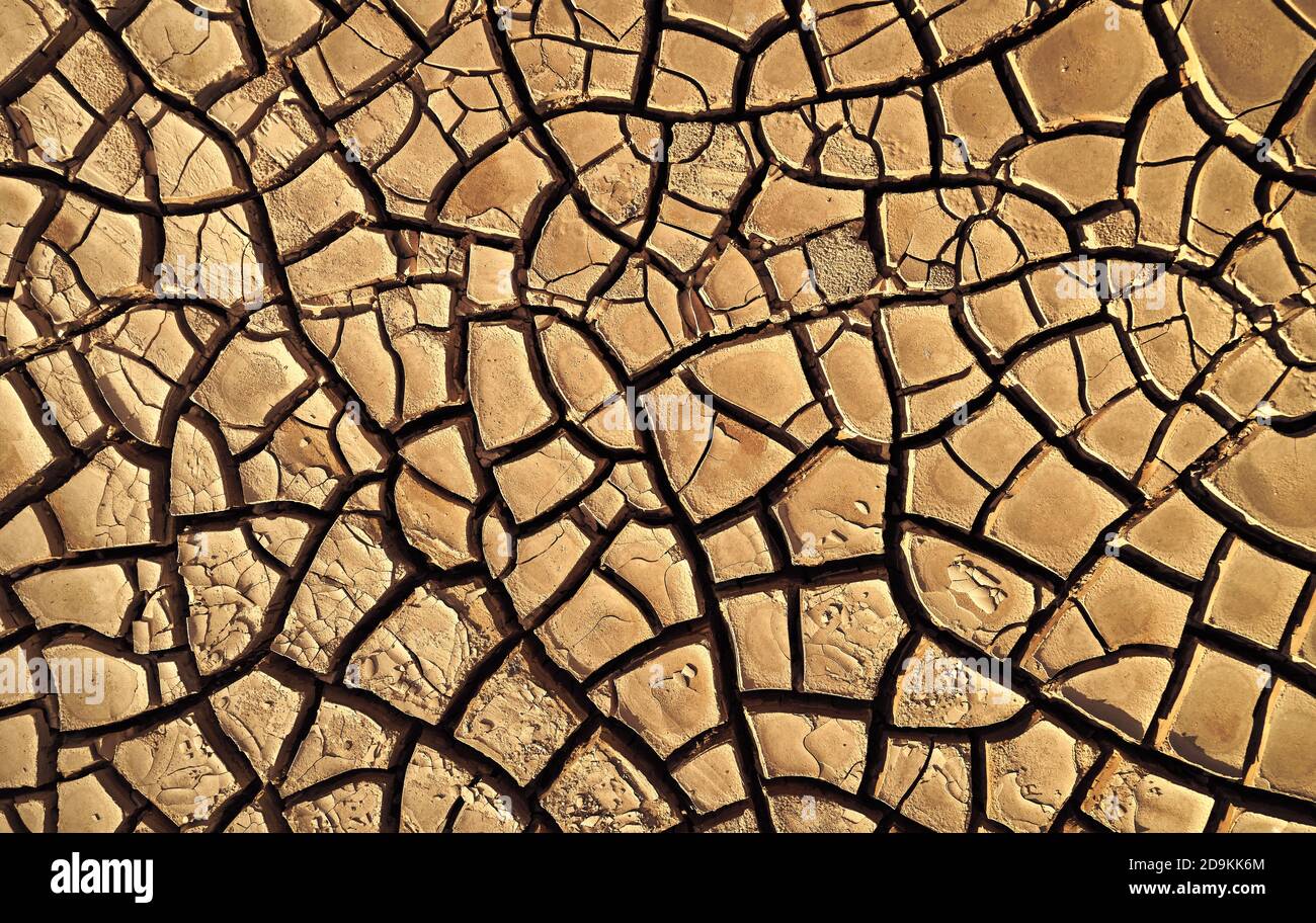 Cracked Desert Ground Texture