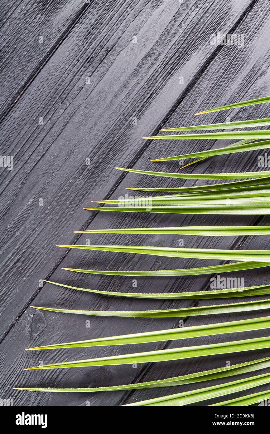 Vertical shot long green leaves Stock Photo - Alamy