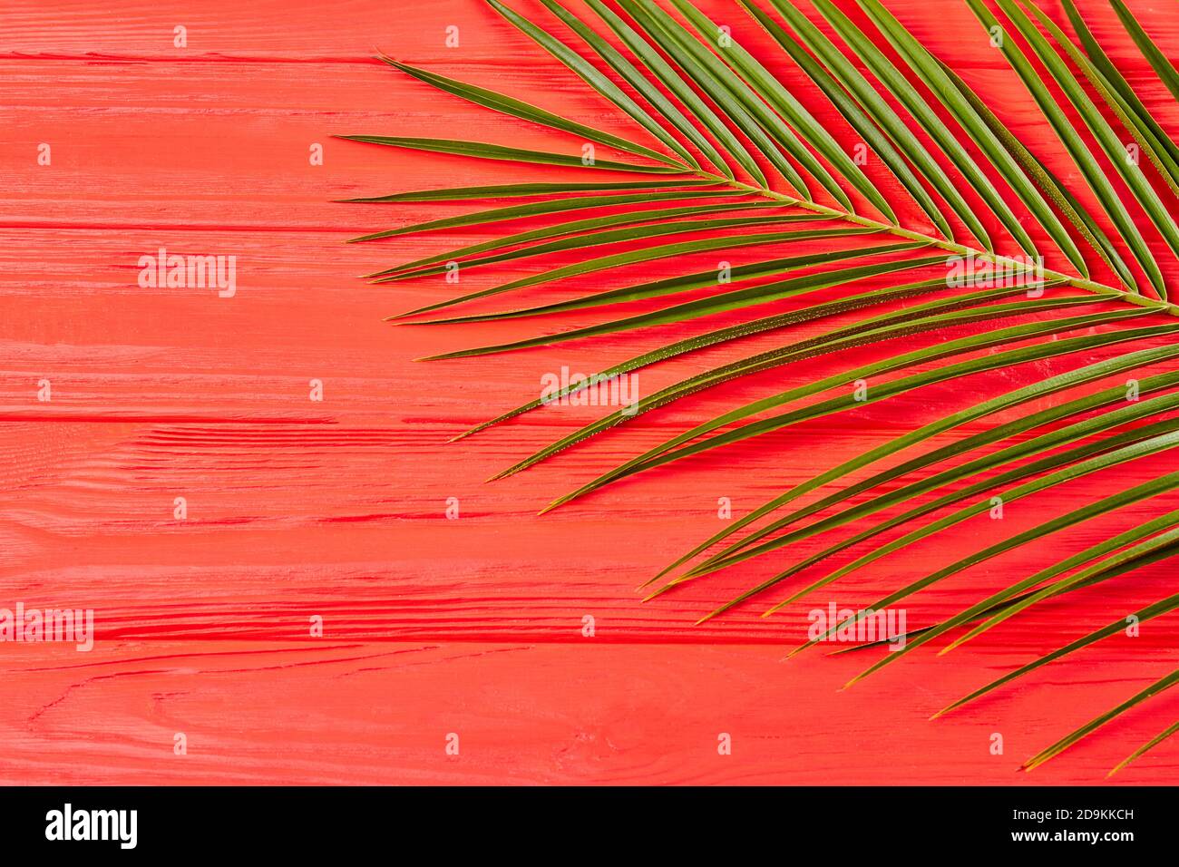Plant branch on a red wooden desk Stock Photo - Alamy