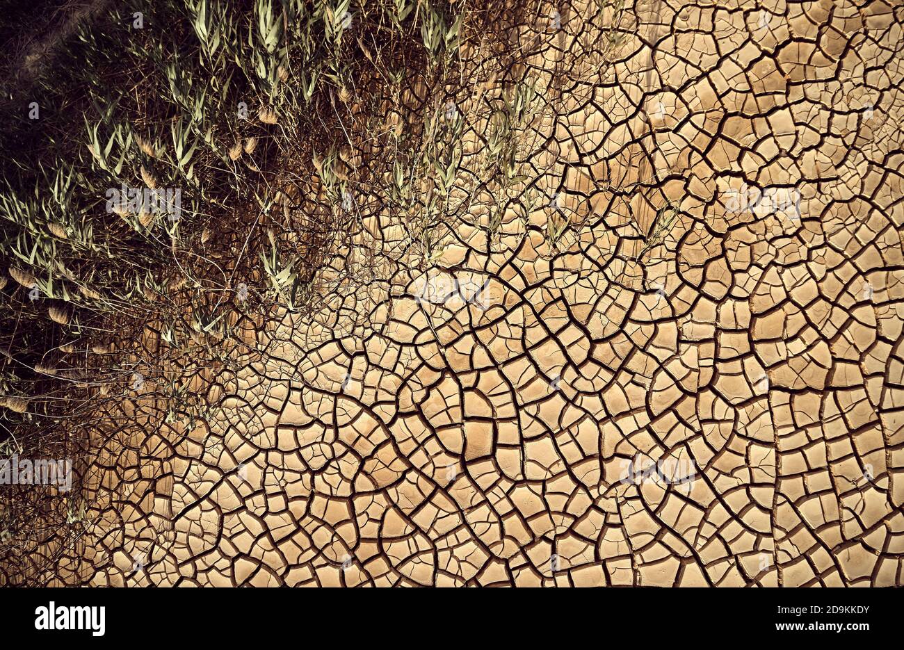 Desert. Aerial view of a beautiful cracks in the ground. texture, deep ...