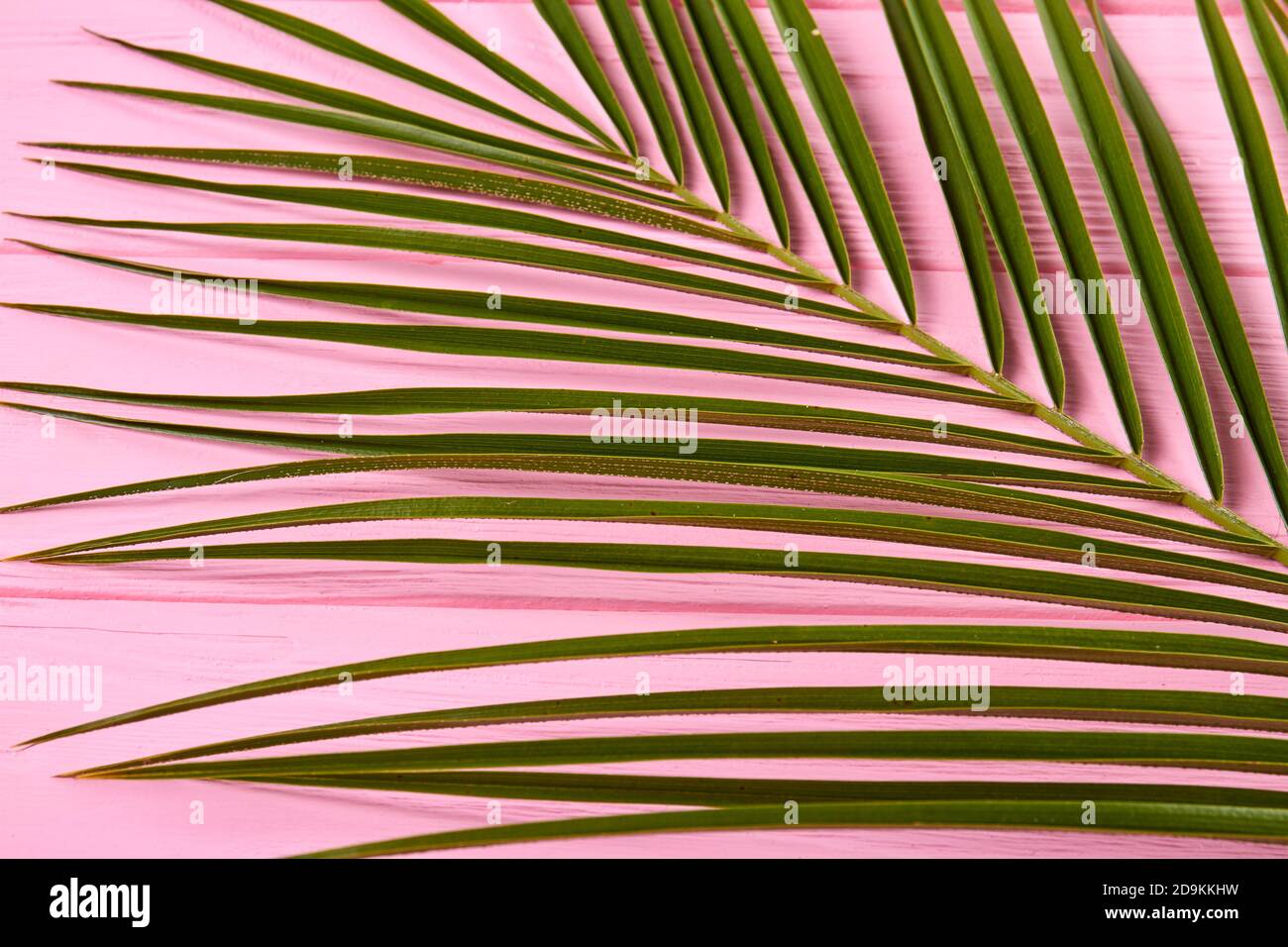 Long slim hi-res stock photography and images - Alamy