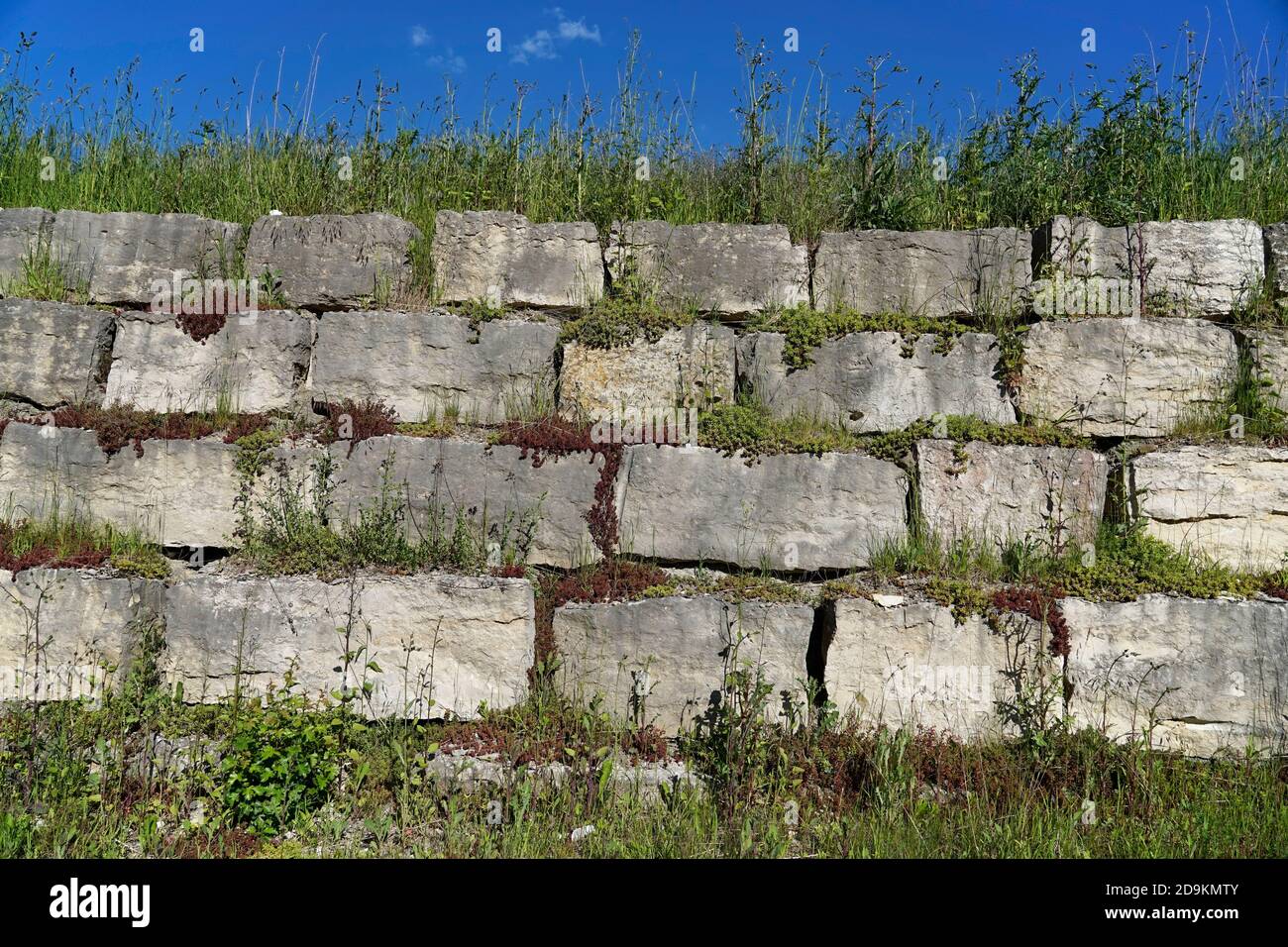 Slope reinforcement hi-res stock photography and images - Alamy