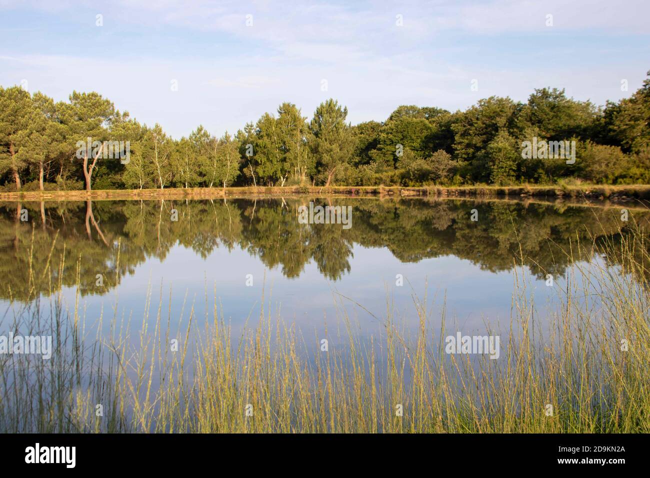 beautiful lake in rural France with trees reflecting in the water Stock ...