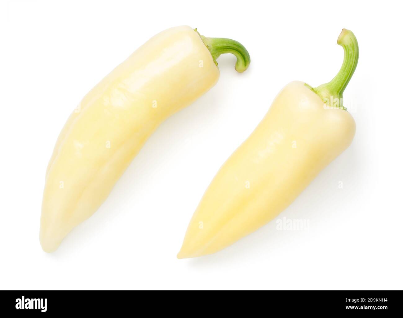 Sweet white peppers vegetable isolated on white background. Hungarian ...