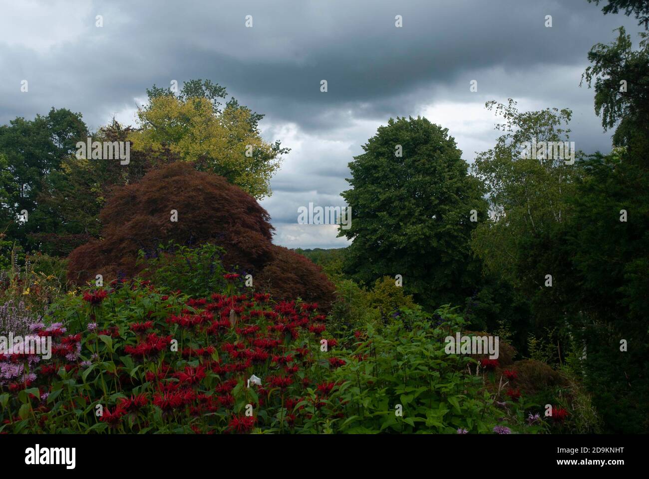 The gardens of the American Museum - Claverton Manor - Bath Somerset UK ...