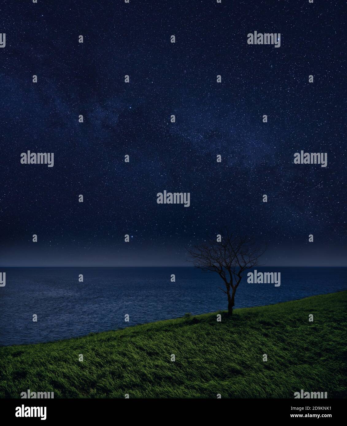 Tree against milky way night hi-res stock photography and images - Alamy