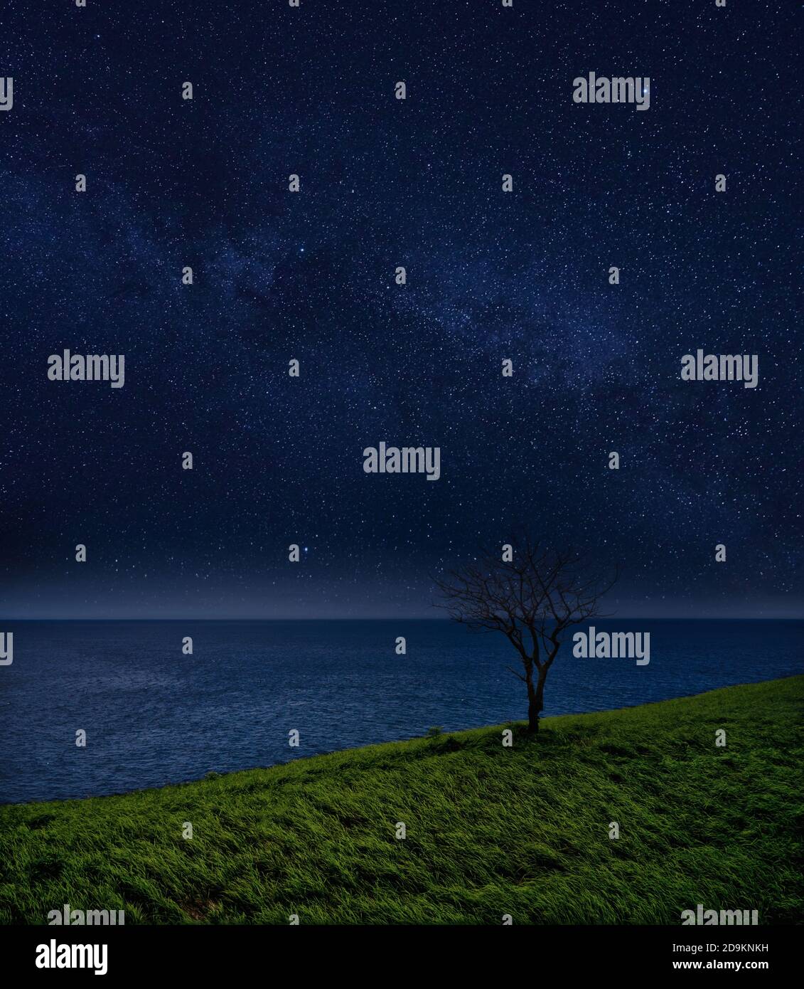 Lonely tree and the ocean against the starry sky. night landscape Stock ...