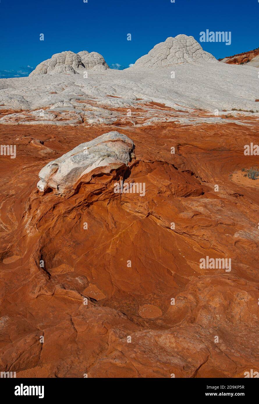Unique formation of Stone, White Pocket Arizona Stock Photo - Alamy