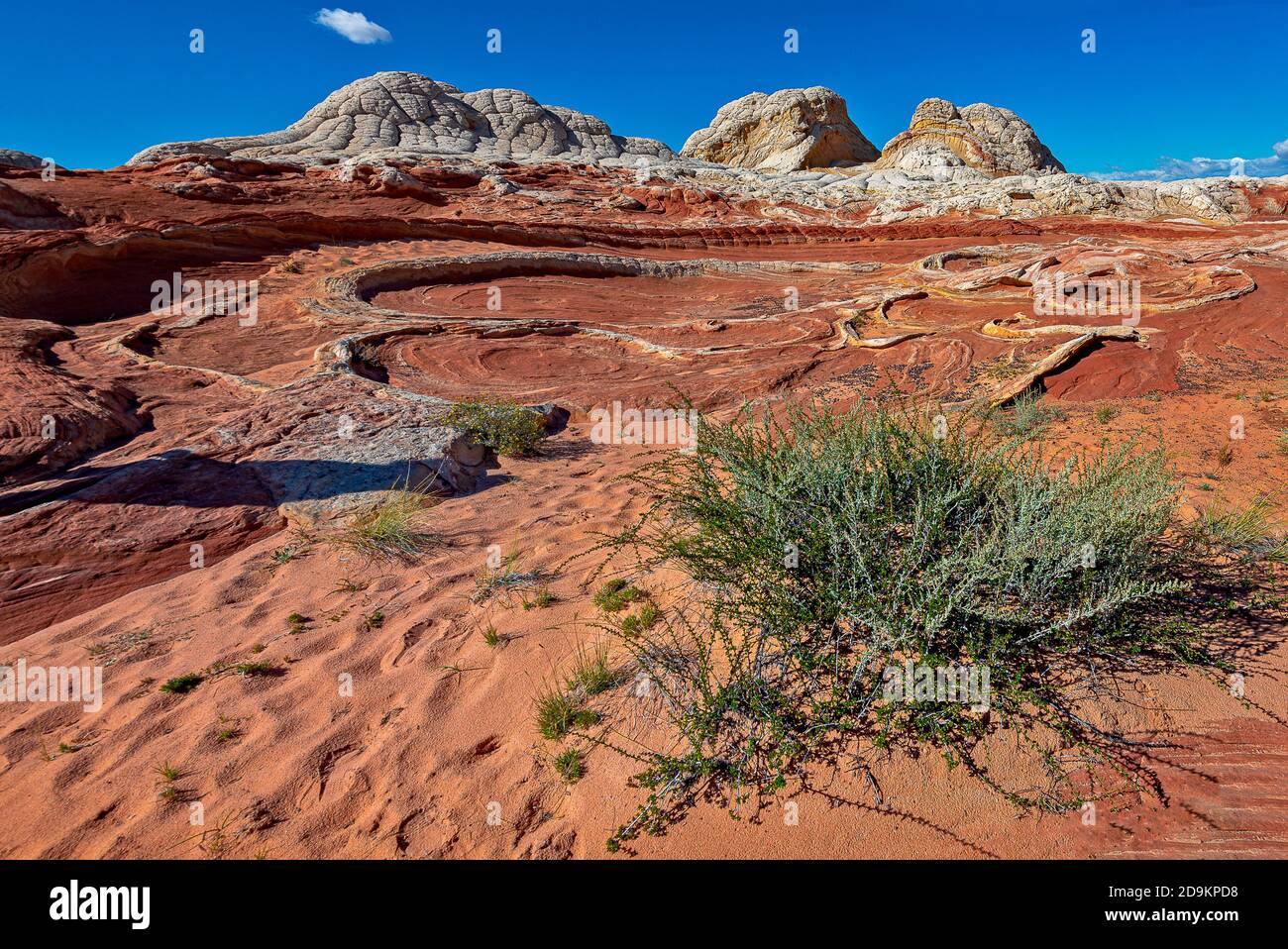 Unique formation of Stone, White Pocket Arizona Stock Photo - Alamy