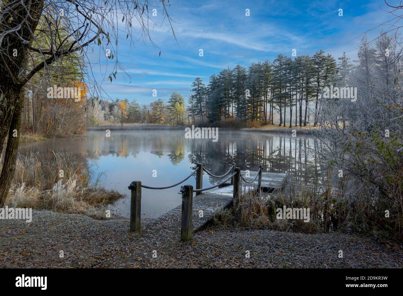 Walpole jetty and trees hi-res stock photography and images - Alamy