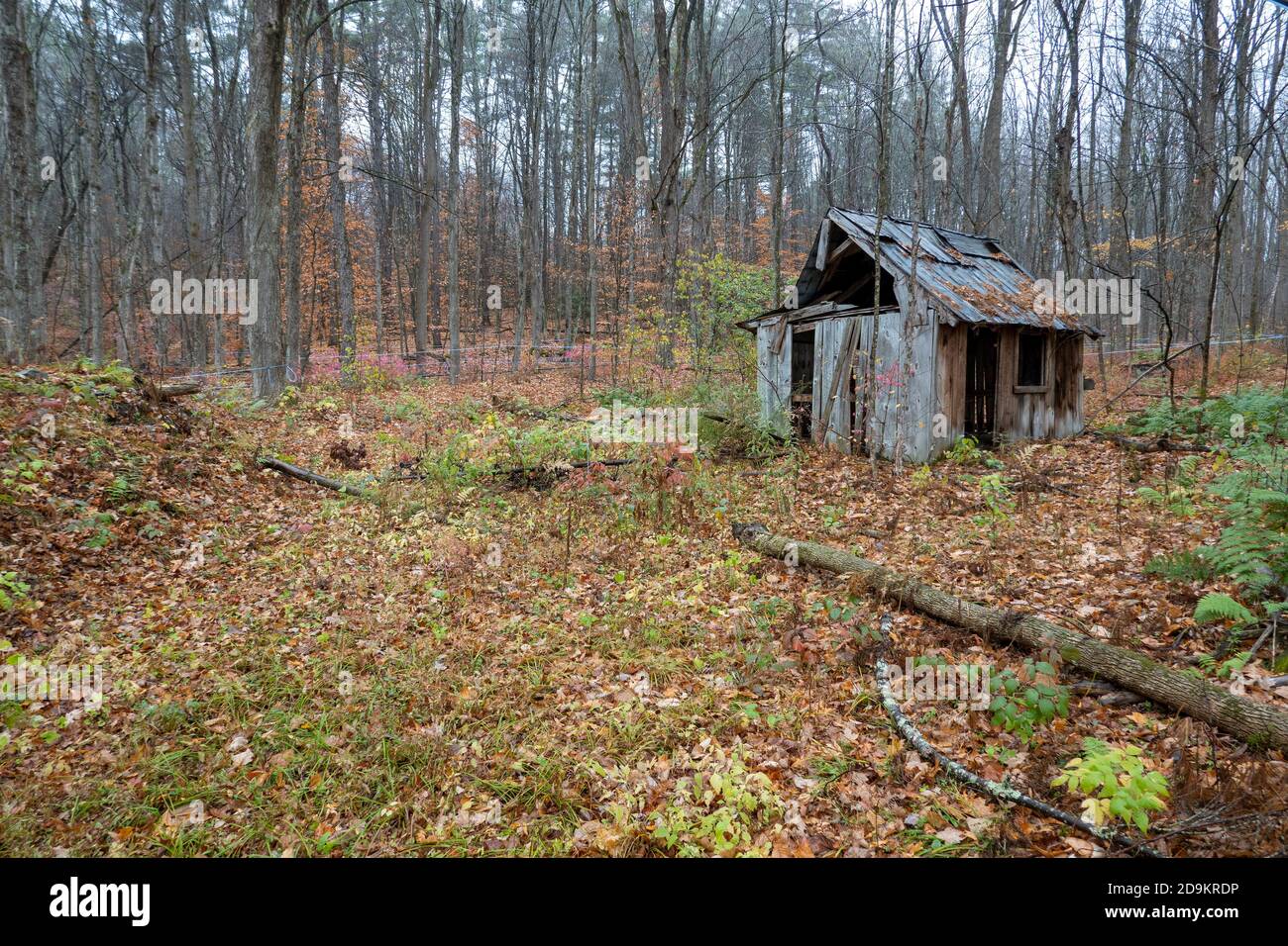 Dilapidated hut hi-res stock photography and images - Alamy