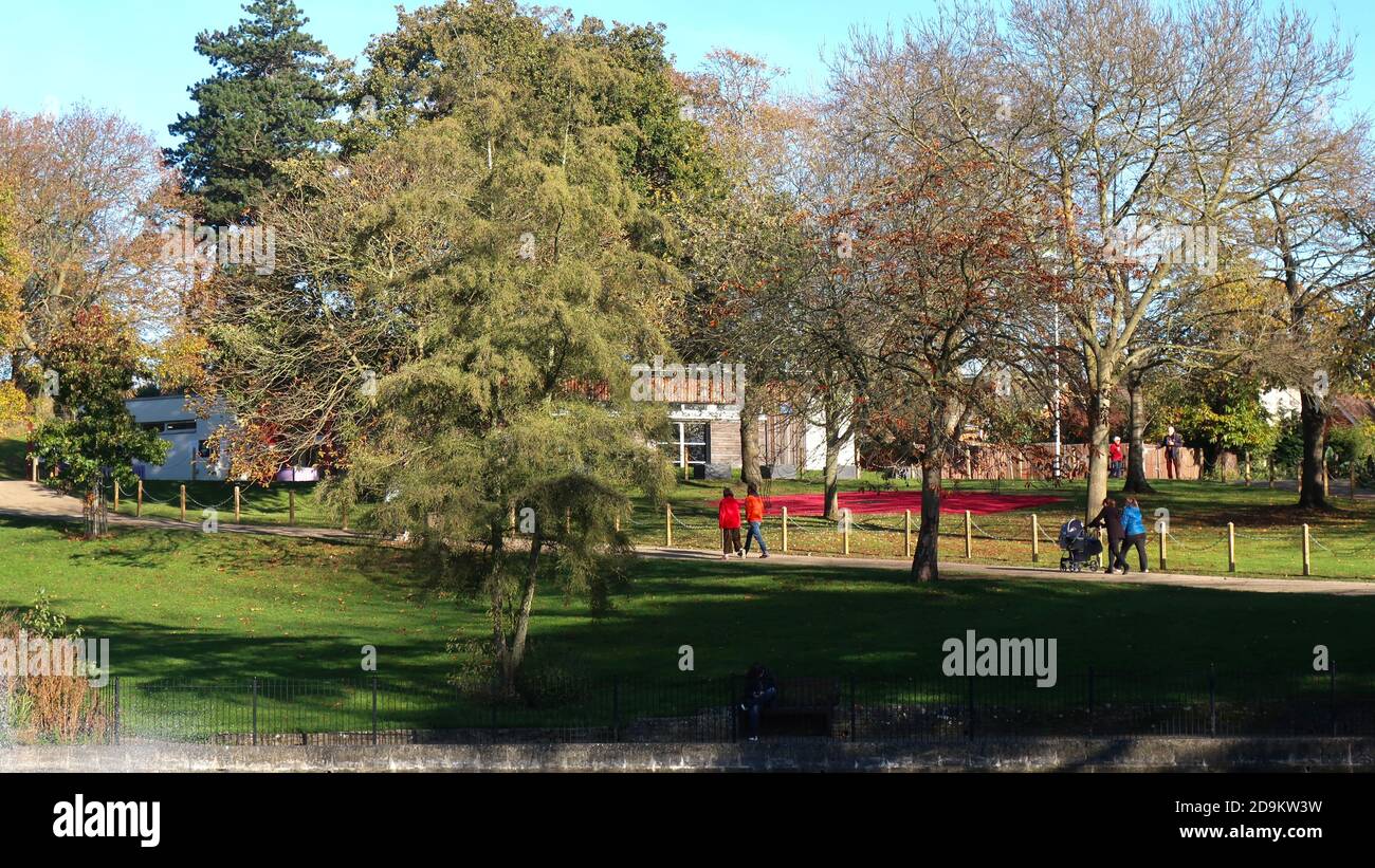 Ipswich, Suffolk, UK - 6 November 2020: Bright autumn colours in ...