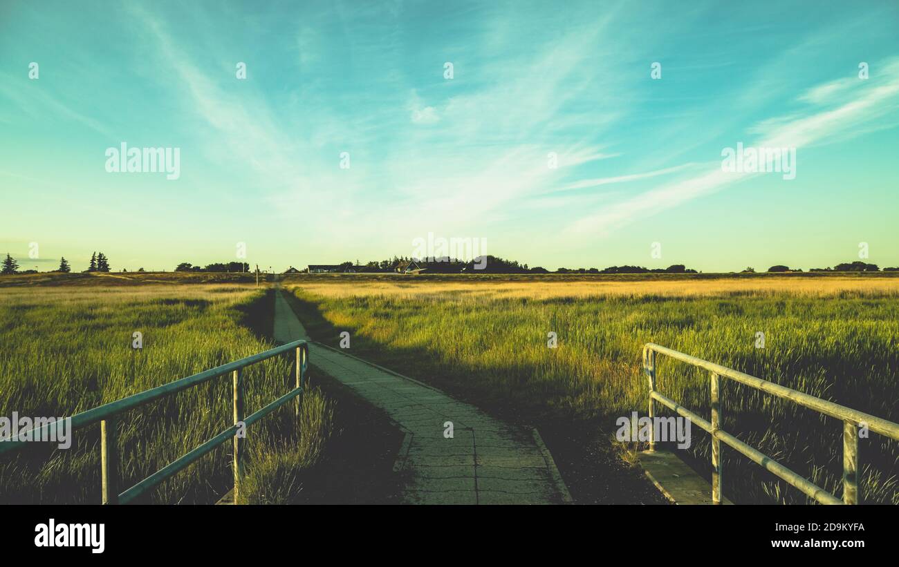 Grasses meadows path on the dike in sunset hi-res stock photography and ...